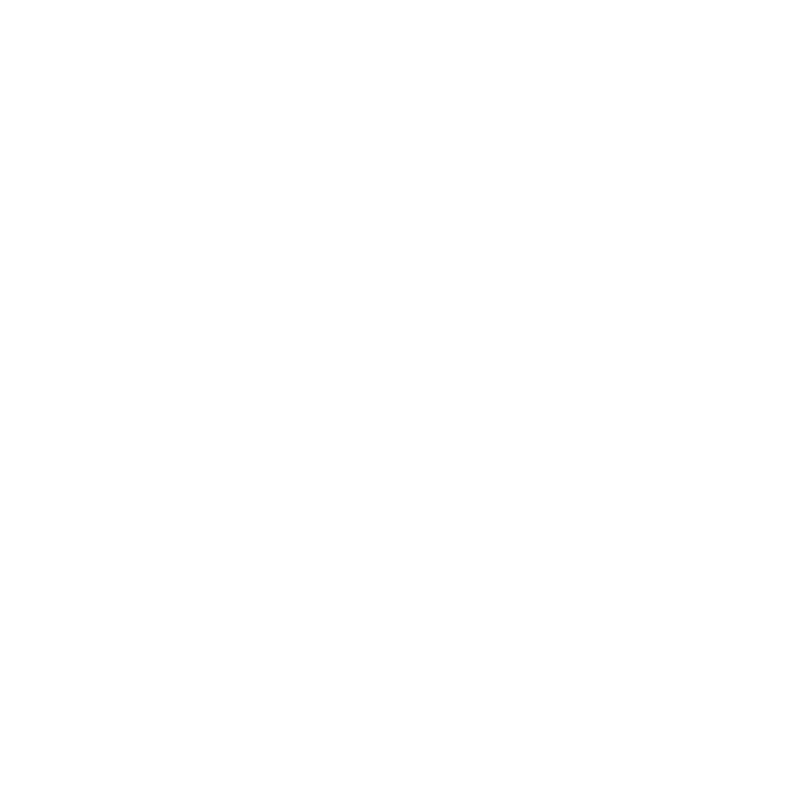 Calisthenics – Nicky Lyan